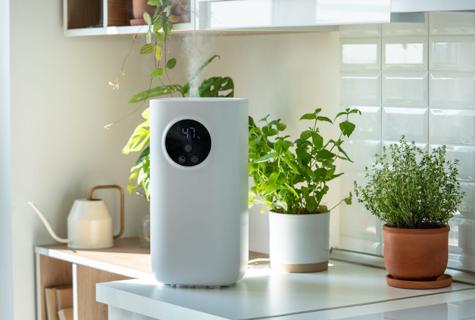 8 Ways To Improve The Air Quality In Your Home